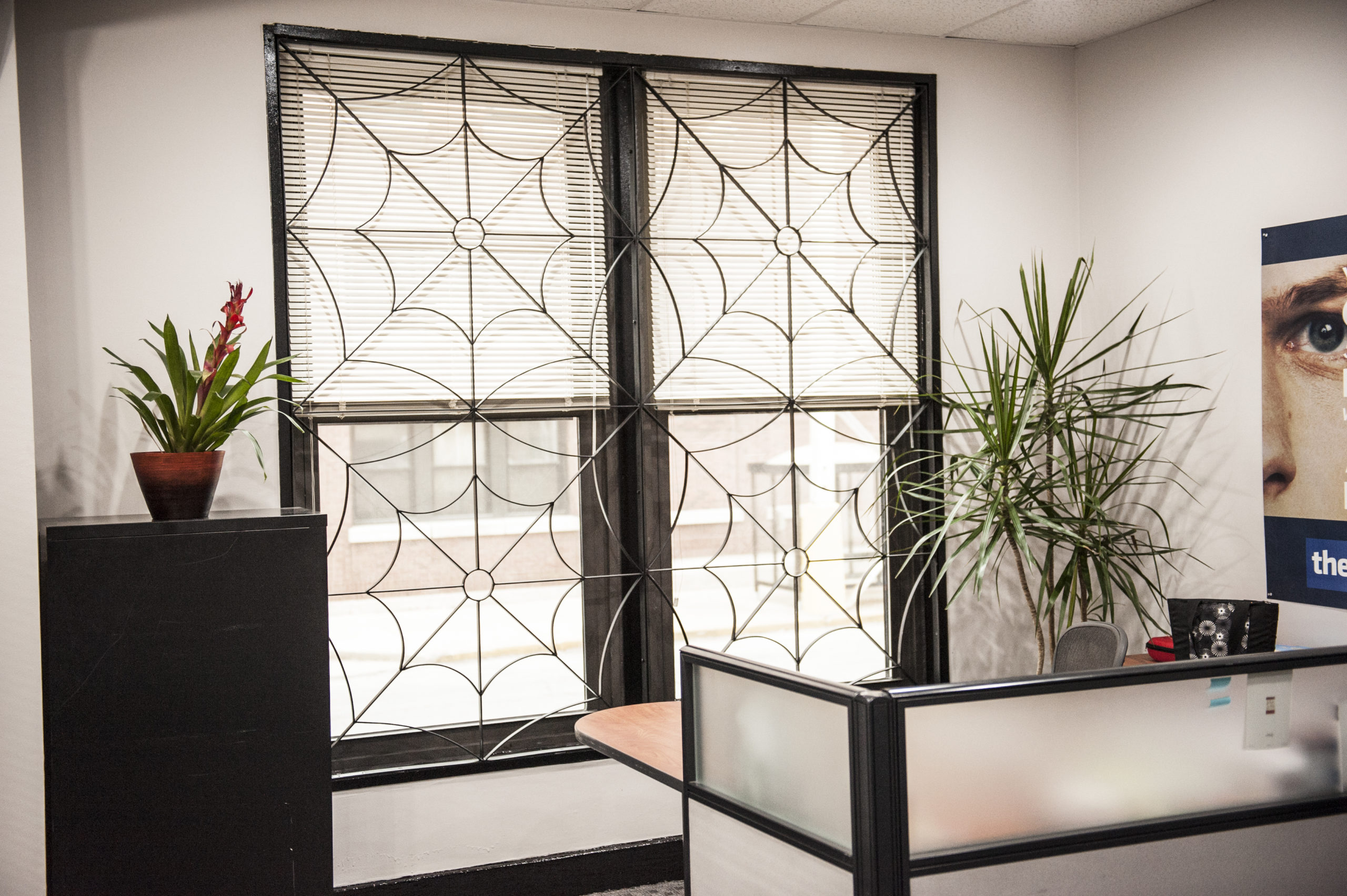 Looking for custom Art Deco spider window guards? | Signature Metal Works